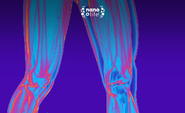 ATENÚA EL DAÑO MUSCULAR Y MEJORA LA RECUPERACIÓN POST-EJERCICIOS – Nano ...